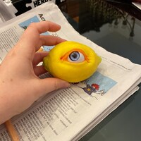 The All Seeing Lemon - Etsy Hong Kong