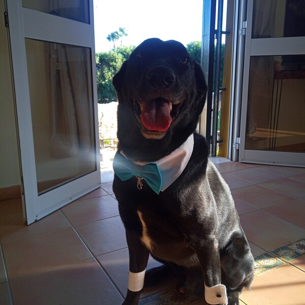 Dog Cuffs~non-slip Feature~dog Tuxedo~dog Cuffs With Satin Buttons to ...