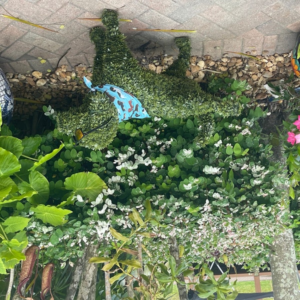 Meet Cooper the Playful Pup- Fun, Faux Plant, Topiary Dogs! Enhance ...