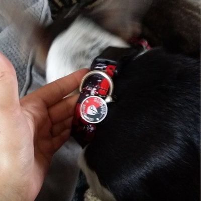 Pet ID Tag Harley Quinn inspired Dog Tag, Cat Tag, Pet Tag - Etsy