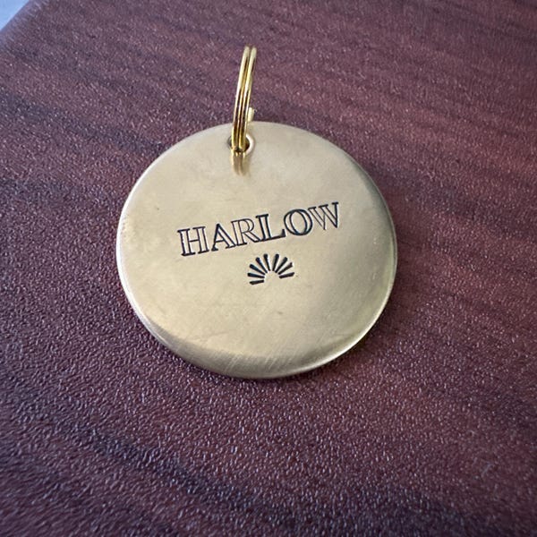 Simple Custom Hand Stamped Dog Tag, Dog Tags for Dogs, Pet Id Tag ...