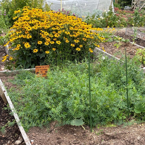 Handcrafted Wooden Triangle Book Saver and Stand, Book Store, Book ...
