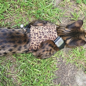 Safetykatz Walking Jacket Red Custom Made Cat Reversible | Etsy