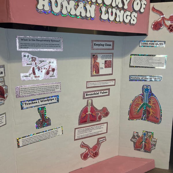 Parts of a Tree Puzzle , Tree Unit Study, Tree Anatomy, 3 Part Cards Tree, Tree Coloring, Nature ...