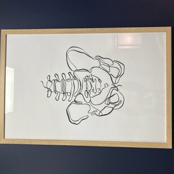 6 Human Bone Drawing Art Prints, Skeleton Wall Art Set, Minimal Medical ...