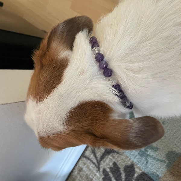 Custom Dog Collar, Crystal Cat Collar, Crescent Moon, Reiki Jewelry ...