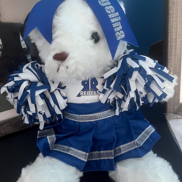 Personalized Cheerleading Plush Bear, Custom All-star Cheer Bears ...