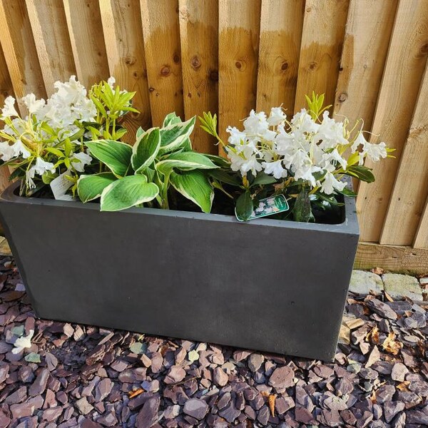 Black Handmade Modern Cuboid Square Concrete Planters Pots Flowers ...