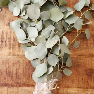 Fresh Gunni Eucalyptus/ Wedding/ Greenery/ Bouquet/ Silver | Etsy