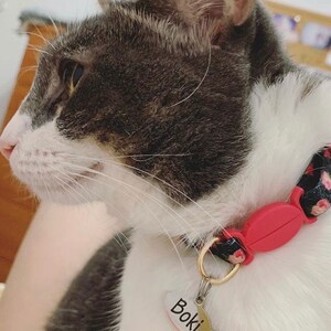 Cat ID tag with Cat Name Tag ID Tag for Cats Stainless | Etsy