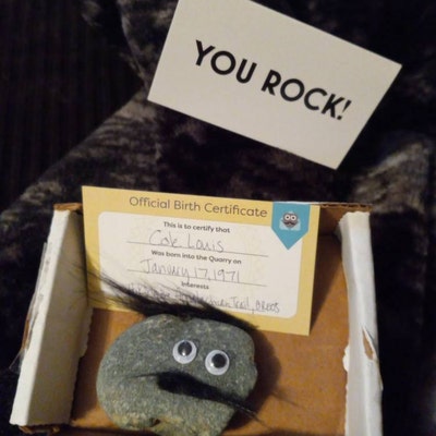 Rock Buddy BOY, Gag Gift, Rock Buddies, Funny Gift, Rock Pet, Anonymous ...