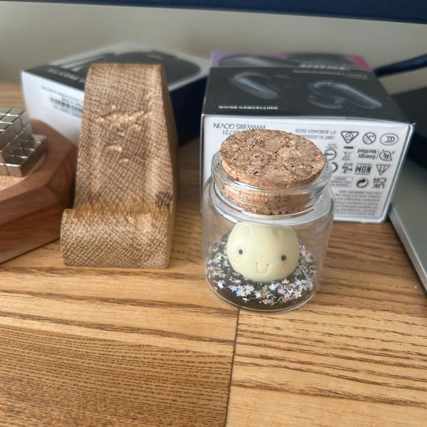 Adopt a Mini Rock Desk Pet - Etsy