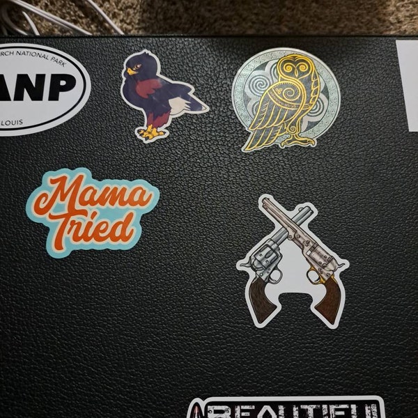 IV Catheter Sticker, Waterproof Sticker, Laminated Sticker, Vet Med ...