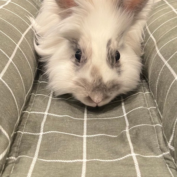 The Snuggle-bun - Flop Bed for Rabbits and Other Small Animals - Etsy