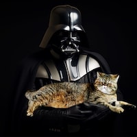 Christmas Red Barn Digital Backdrop, Snow, Trees, Fences, Xmas, Digital Background for ...