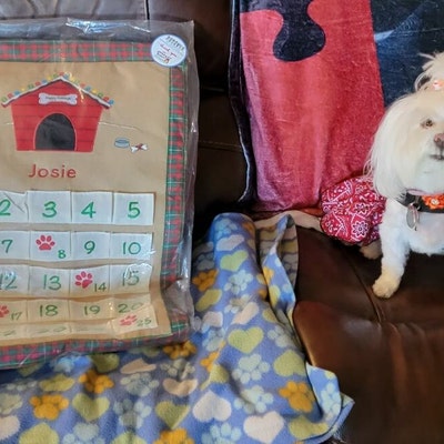Personalized Dog Advent Calendar Pet Christmas Countdown for Family ...