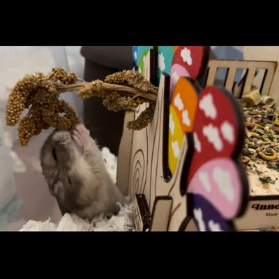 Custom Hamster Hideout/ Hamster Treehouse With Level/ Hamster Castle ...