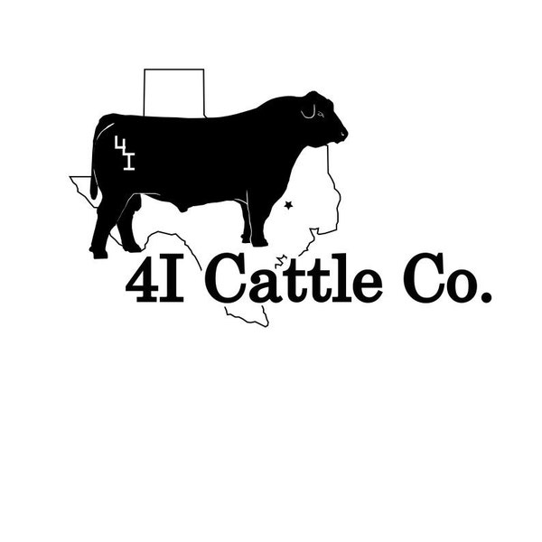 Blue and Gold Stall Sign - Show Lamb - FFA - License Plate - Etsy