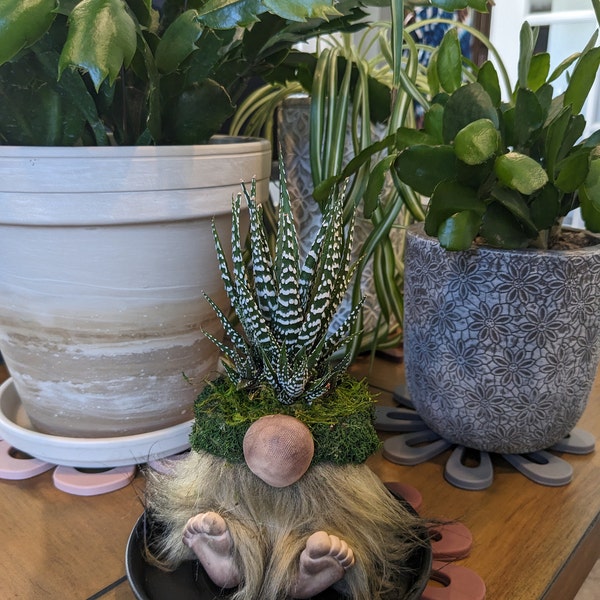 Gnome Planter: Faux Fur Beard, Clay Pot Decor - Etsy