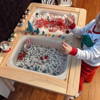 Large Double Sided Flisat Colour Sorting & Counting Insert, Flisat ...