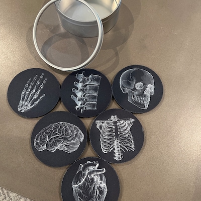 Joints Gift Anatomy Magnet Set Doctor Teacher Nurse Bones Arthritis Hip ...