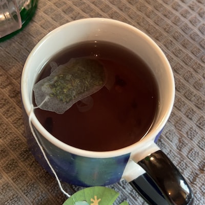Manta Ray Tropical Mango Tea Bag Ocean Teabag - Etsy