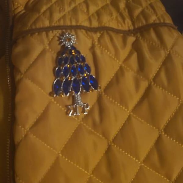 Sigma Gamma Rho Hand-sign Pin - Etsy