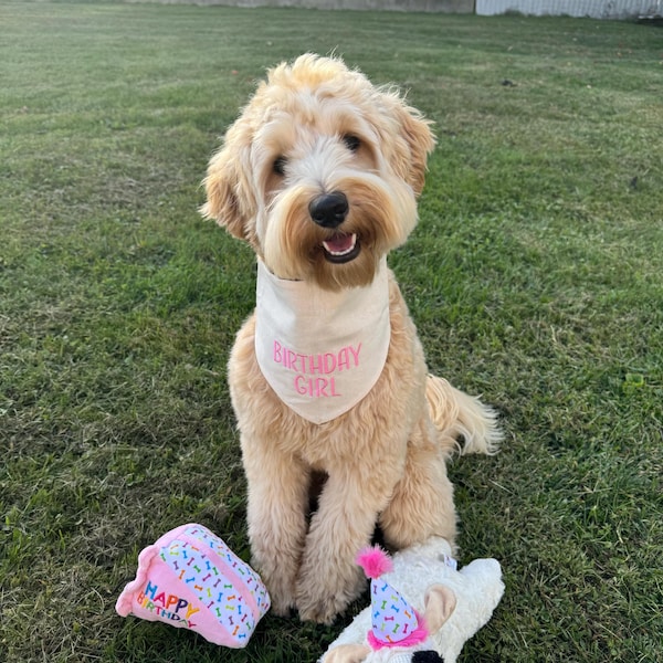 Dog Bandana Kelly GREEN Gingham Bandana for Dogs Snap on Dog Bandana ...