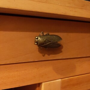 Insect Drawer Knobs in Brass Cicada Cabinet Knobs Insect - Etsy
