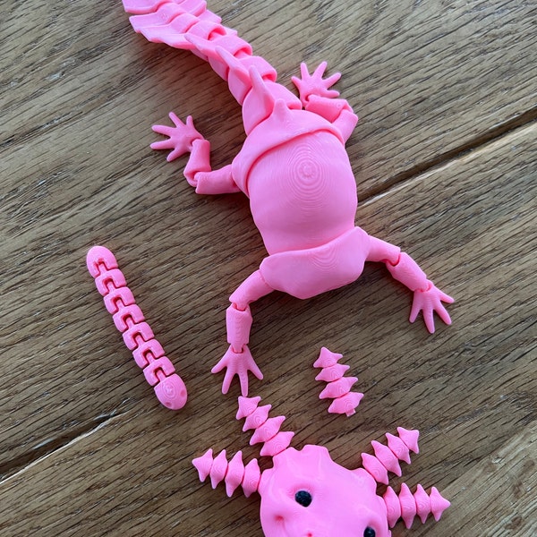 3dprinted Articulated Adorable Axolotl | Sensory Stress Fidget | as ...
