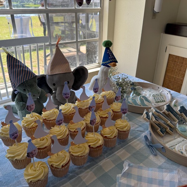 Goose Birthday Pinata, Silly Goose Birthday, Goose Party, Goose ONE ...