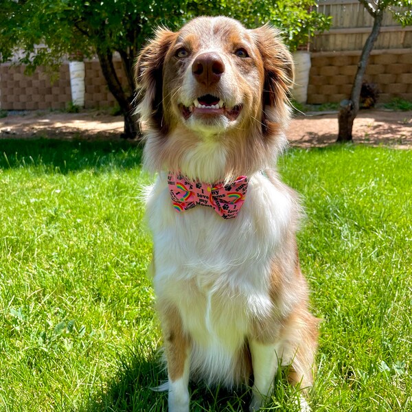 Dog Bow Tie. Halloween Dog Bow Tie, Fall Dog Bow Tie, Gift, Orange and ...