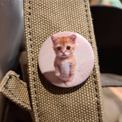 El Gato Meme One Inch Button Badge - Etsy Canada