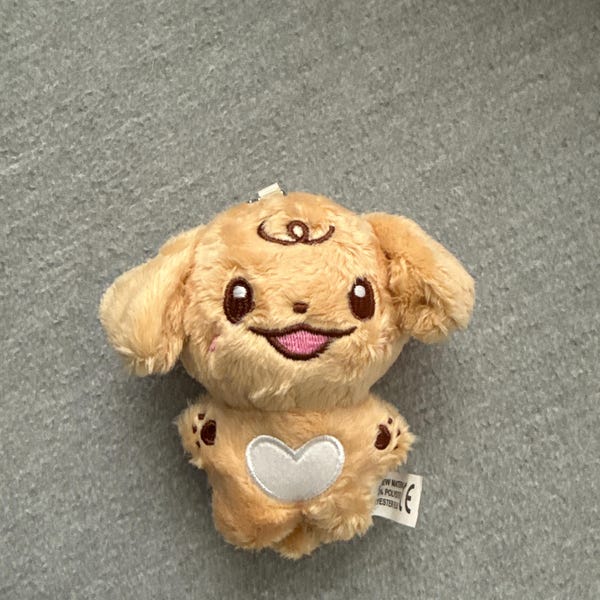Enhypen En-dolls | Animal Fanmade Plushie | Jungwon | Heeseung | Jake ...