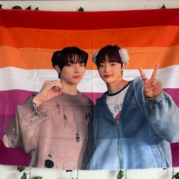 Ain't No Party Like A Diddy Party Funny Flag Tapestry, Meme Flag ...