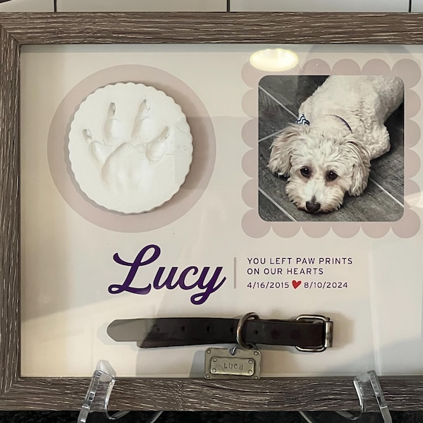 Pet Memorial Paw Print Holder, Collar Shadow Box, Pet Loss Frame, Clay ...