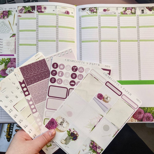 10 Page Budget Bundle for Planners, Savings Tracking Stickers, 750 ...