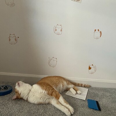 Cat Wall Decals /modern Nursery and Kids Room Décor/girl Room/cat Wall ...