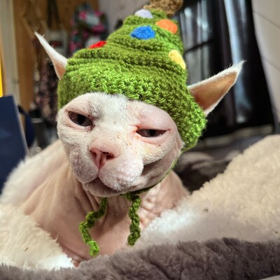 Little Red Riding Hood Cat Costume, Pet Costume, Cat Halloween Costume ...