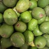 3LBS Fresh Dwarf June Plums - Always Freshly Picked - ** We Are ...