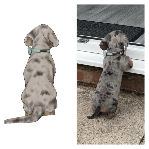 Watercolor DOG CLIPART, Back View of Dogs. Dog Breeds Bundle. Golden ...