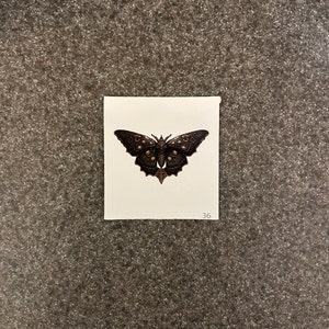 Bee Sticker, Insect Sticker, Floral Sticker, Bug Sticker, Flower ...