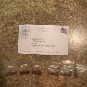 Chewing Tobacco Seed Pack 3 Varieties for Chew & Dip 3,000 Seeds - Etsy