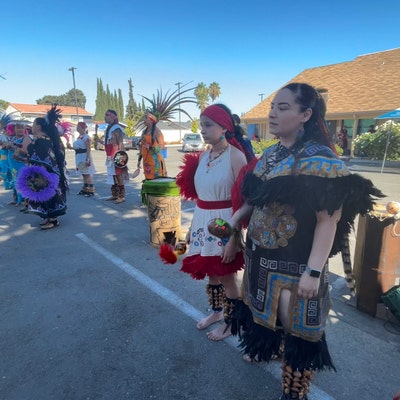 Natural Black Coque Rooster Tail Feathers Super Long 16-18 - Etsy