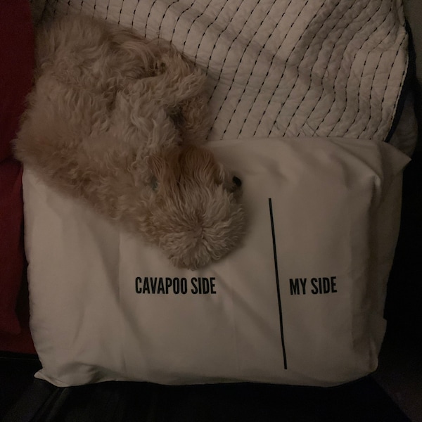 Cavapoo Pillow Cover - Cavapoo Gifts - Cavapoo Pillowcase - Cavapoo Dog ...