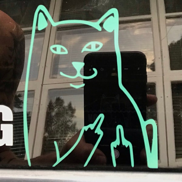 Middle Finger Cat Car Decal, Personalized Vinyl Sticker, Custom Color ...