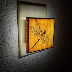Dragonfly Night-light, Wall Art, Bug, Insect Lamp - Etsy