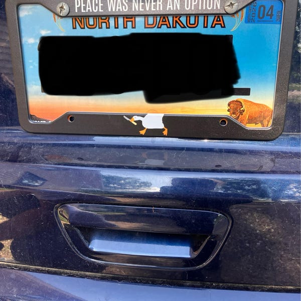 Floral Line Art License Plate Frame - Minimalist Floral License Plate ...