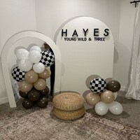 Mountain Ash Balloon Garland Kit / Eucalyptus Balloon Arch, Sage Blush ...