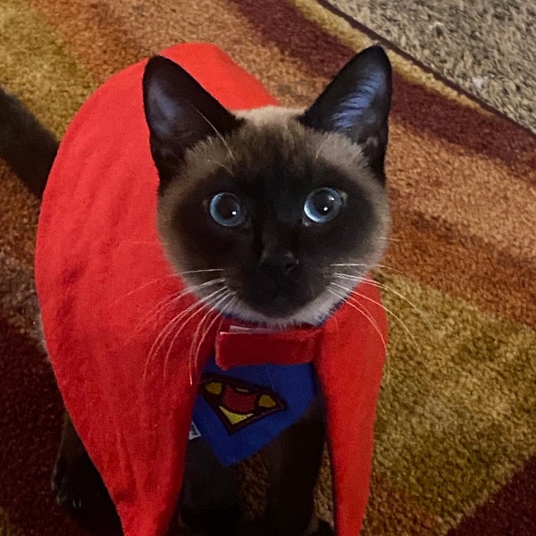 Beret and Cape for Pets, 2 Piece Costume for Cats and Dogs, Pet Cloak ...